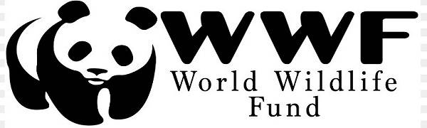 Juli 9, 2013 – Stalker Magazine